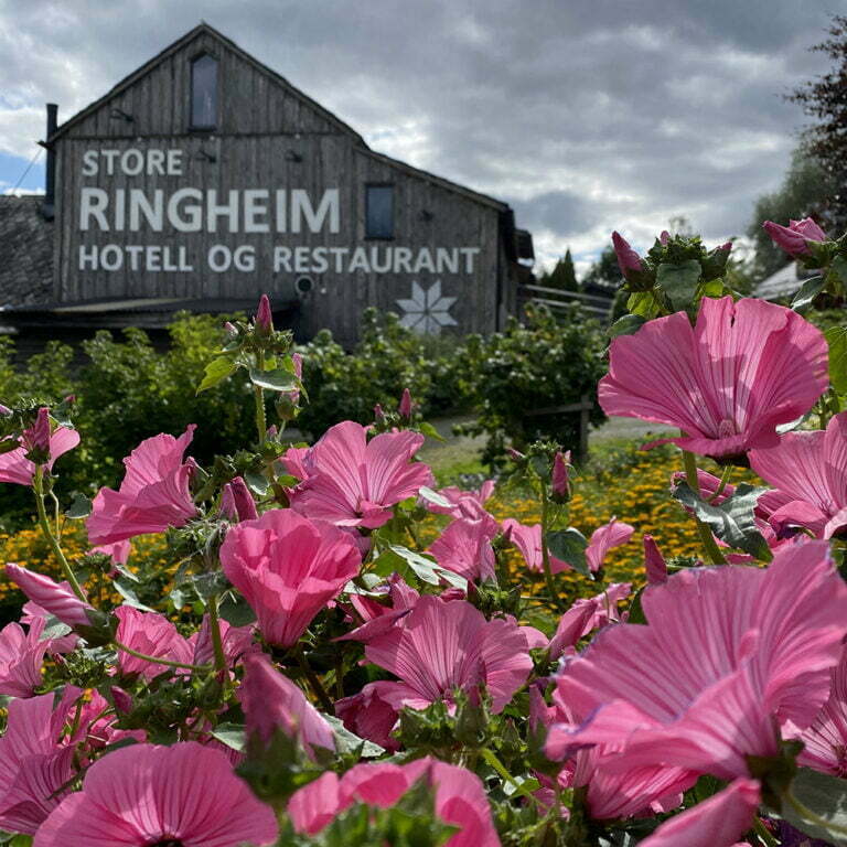 Hotel - Store Ringheim Hotel and Restaurant